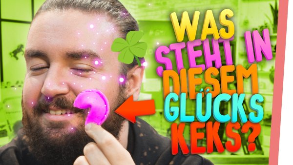 GLÜCKSKEKSE bei GMI! | Unicorn und Pechkeks Edition GLÜCKSKEKSE bei GMI! | Unicorn und Pechkeks Edition