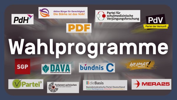Die Wahlprogramme der kleineren Parteien erklärt | EU-Wahl 2024