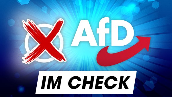 Wahlprogramm: Das will die AFD für dich! | Bundestagswahl 2025