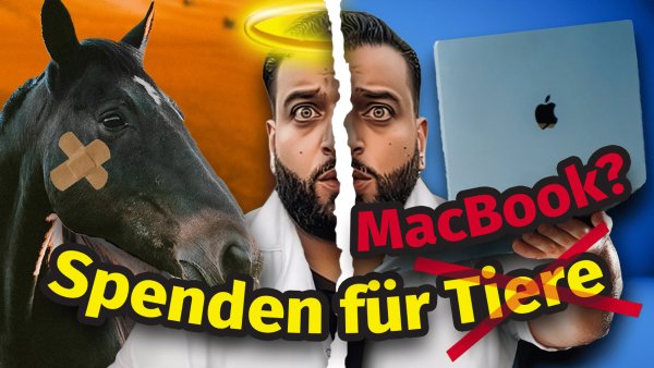 Hier landen 100k Spenden an Tierretter Ali Safari: Wir haben ein ...